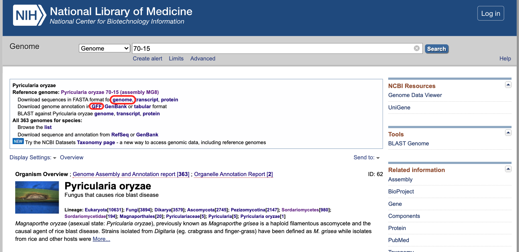 生信步骤|转录组mRNA数据的有参组装-CSDN博客