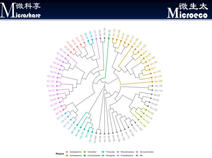 宏基因组分箱 Binning分析流程,赠送代码和练习数据 Csdn博客 3640
