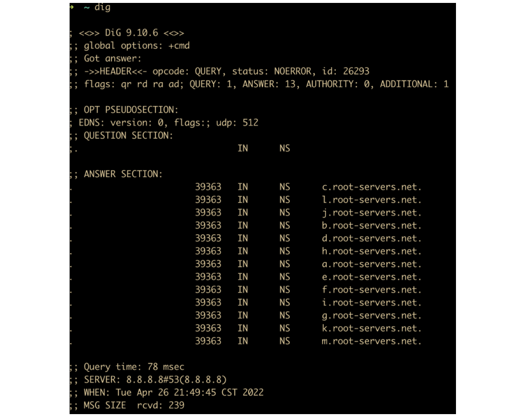 DNS 协议详解（适合收藏学习）_dns协议-CSDN博客