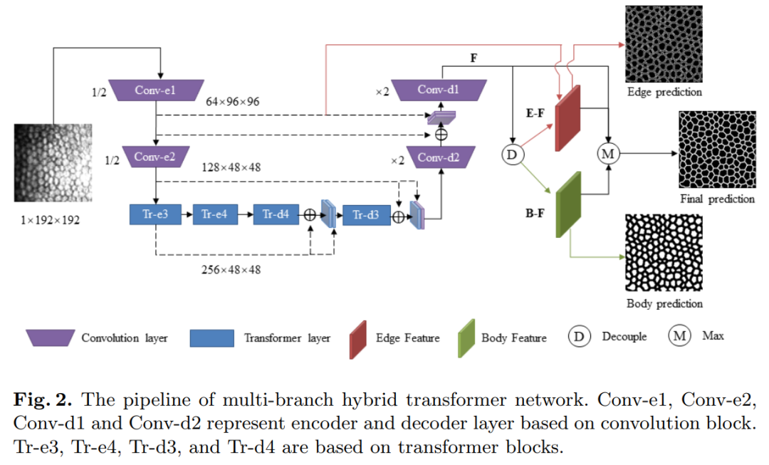 Transformer一脚踹进医学图像分割！看5篇MICCAI 2021有感-CSDN博客