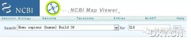 ncbi查找目的基因序列_一步一步教你使用 NCBI 查找DNA、mRNA、cDNA、 引物设计、BLAST 序列比对等...-CSDN博客