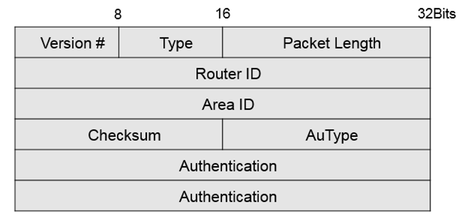 OSPF协议报文_ospf 报文携带认证类型-CSDN博客