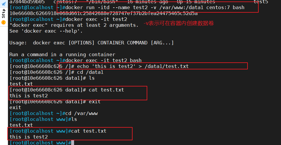 Docker的数据管理
