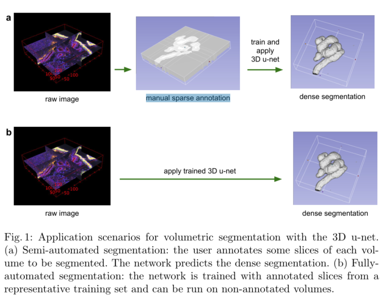 3D U-Net论文笔记_3dunet论文-CSDN博客