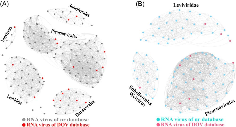iMeta | 水科院南海所姜敬哲/中大施莽利用病毒组揭示的牡蛎体内的新型RNA病毒...-CSDN博客
