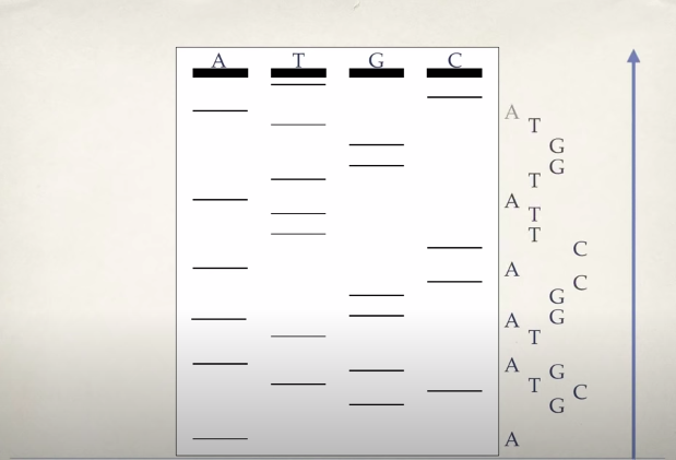 高通量测序的数据处理与分析指北(一)_高通量测序结果分析-CSDN博客