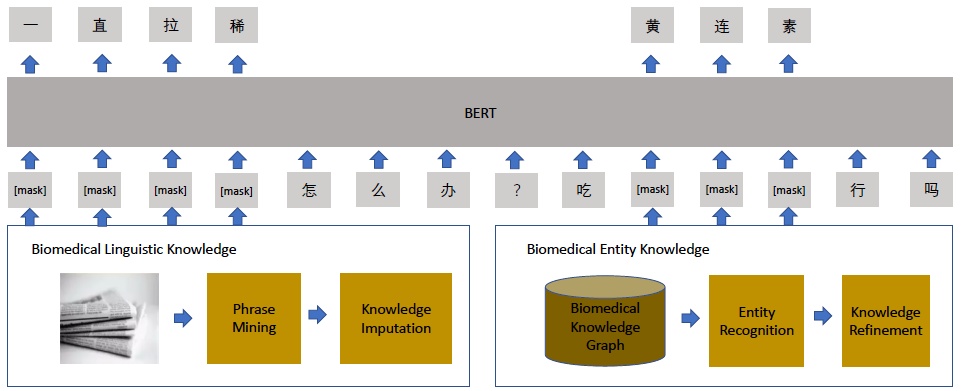 bert中文预训练模型_[中文医疗预训练模型] MC-BERT-CSDN博客