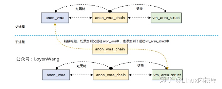 详细讲解Linux内存管理之RMAP_vma av avc-CSDN博客