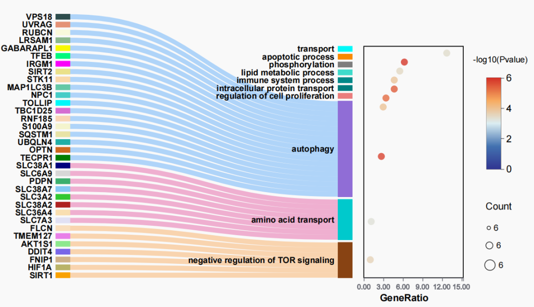 不用学代码，5分钟内1:1复现NC精致桑基气泡组合图-CSDN博客