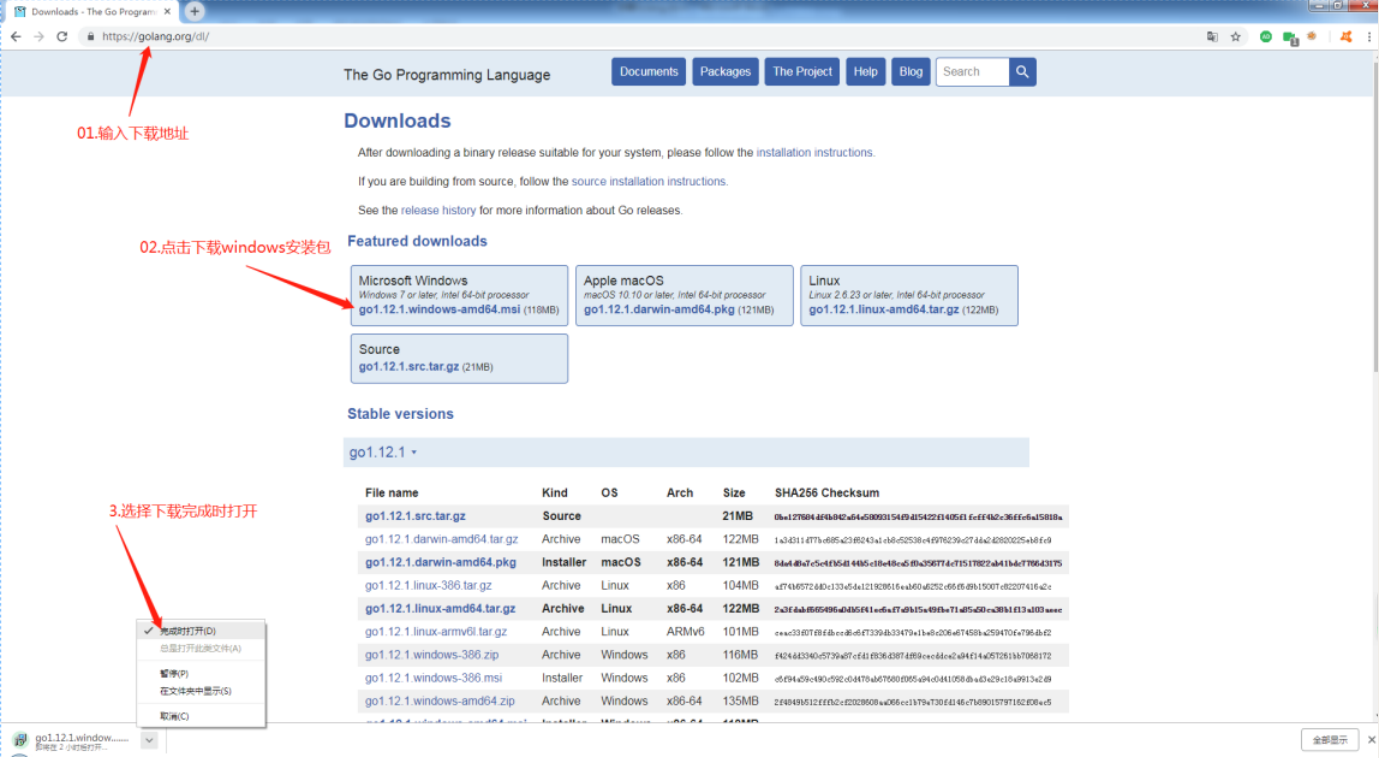 Go软件安装-已成功测试-20210413_goproxy软件下载-CSDN博客