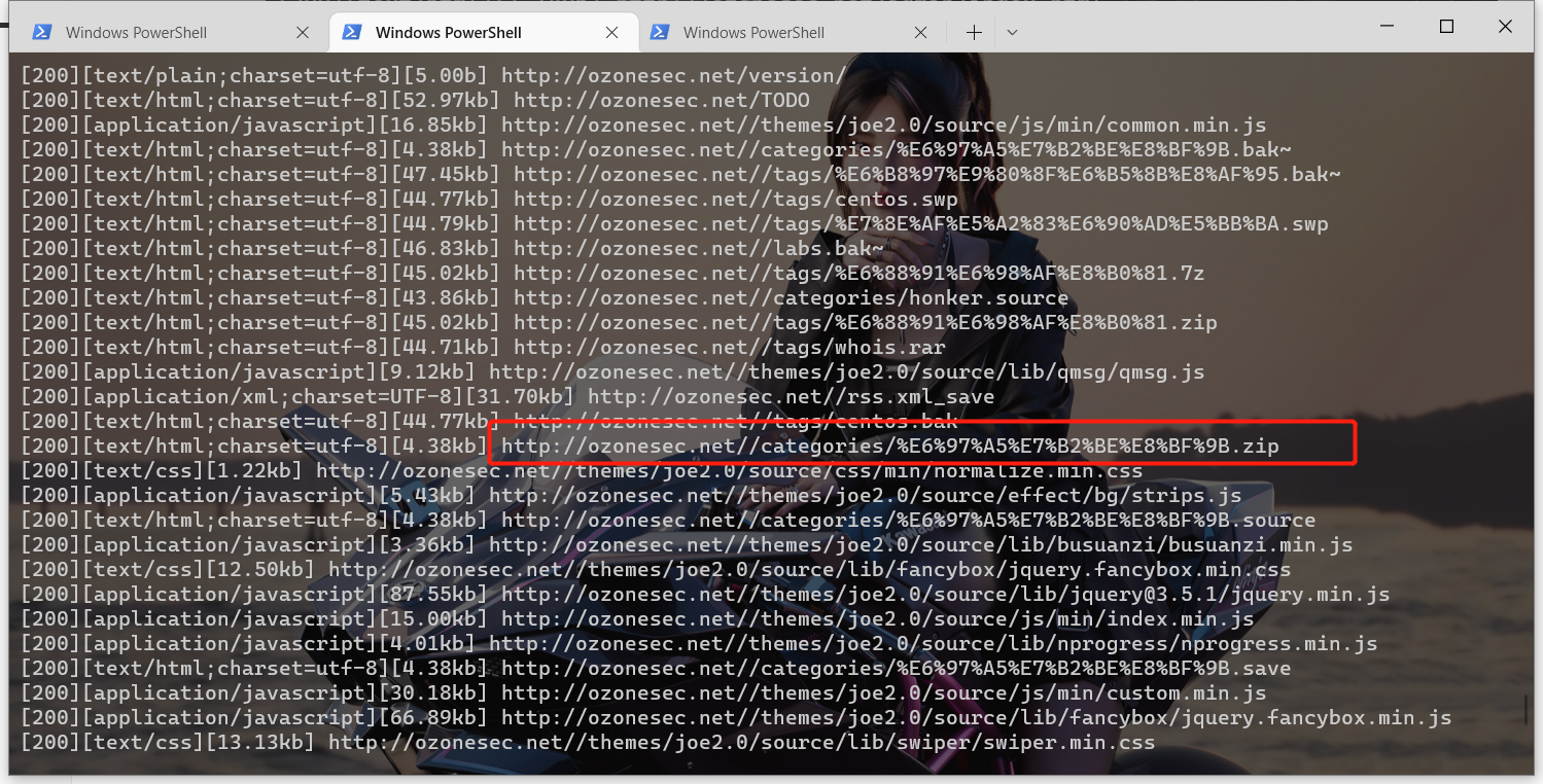 网站信息收集全_识别中间件的浏览器插件-CSDN博客