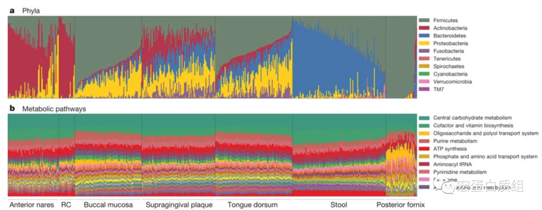 Nat Comms | 深度宏蛋白质组揭示微生物群落蛋白质组水平功能冗余度（连载-1）...-CSDN博客