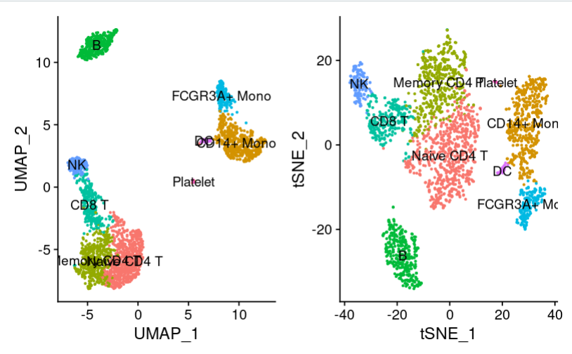SingleR包注释细胞类型-CSDN博客