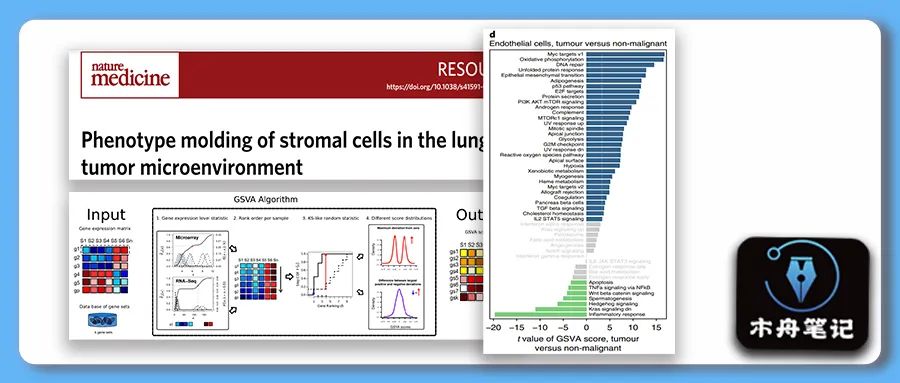即将满员！CNS图表复现|生信分析|R绘图 资源分享&讨论群！(内附推文合集)_木舟笔记的博客-CSDN博客