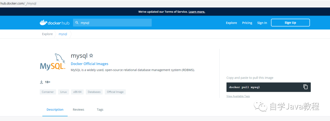 Bash Mysql 未找到命令 如何使用docker安装mysql Csdn博客