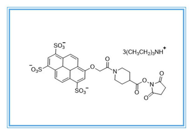 AF 405 NHS，AlexaFluor 405 NHS ester，蓝色AF405荧光染料，用于成像和流式细胞分析中稳定信号的生成_有没有 ...