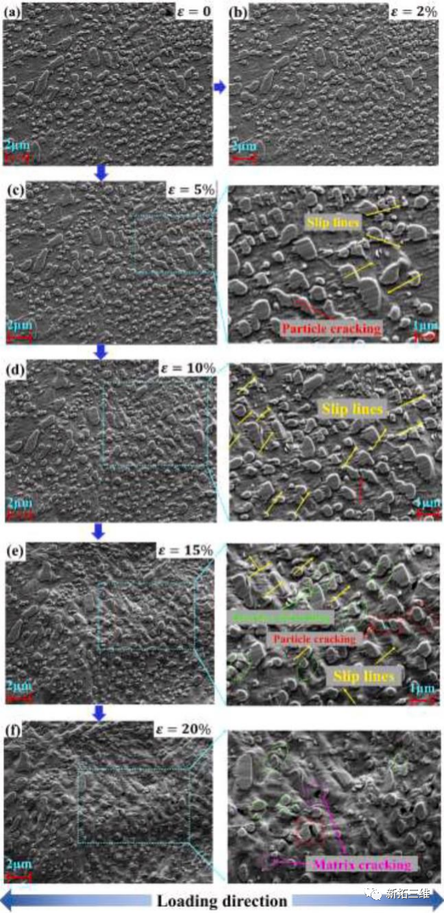 3D-DIC应变测量技术揭示多尺寸微观结构损伤机制_高应变率宏微观本构方程的构建hr-dic-CSDN博客