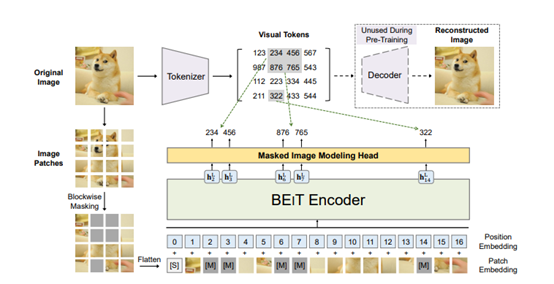 BEiT-3论文阅读笔记_beitv3-CSDN博客