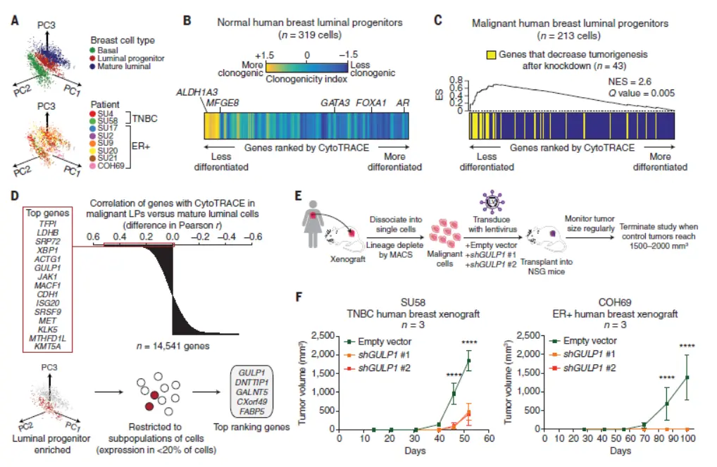 10X单细胞轨迹分析（拟时分析）之cytotrace-CSDN博客