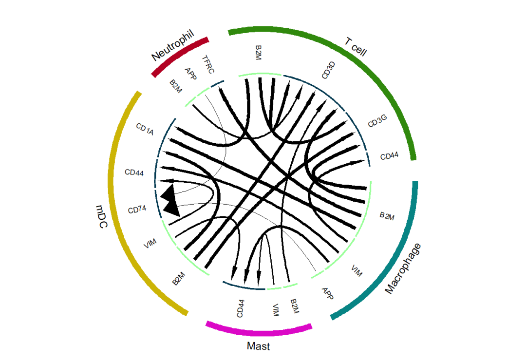 iTALK---单细胞受配体互作分析及可视化（详细版教程）_r包italk安装-CSDN博客