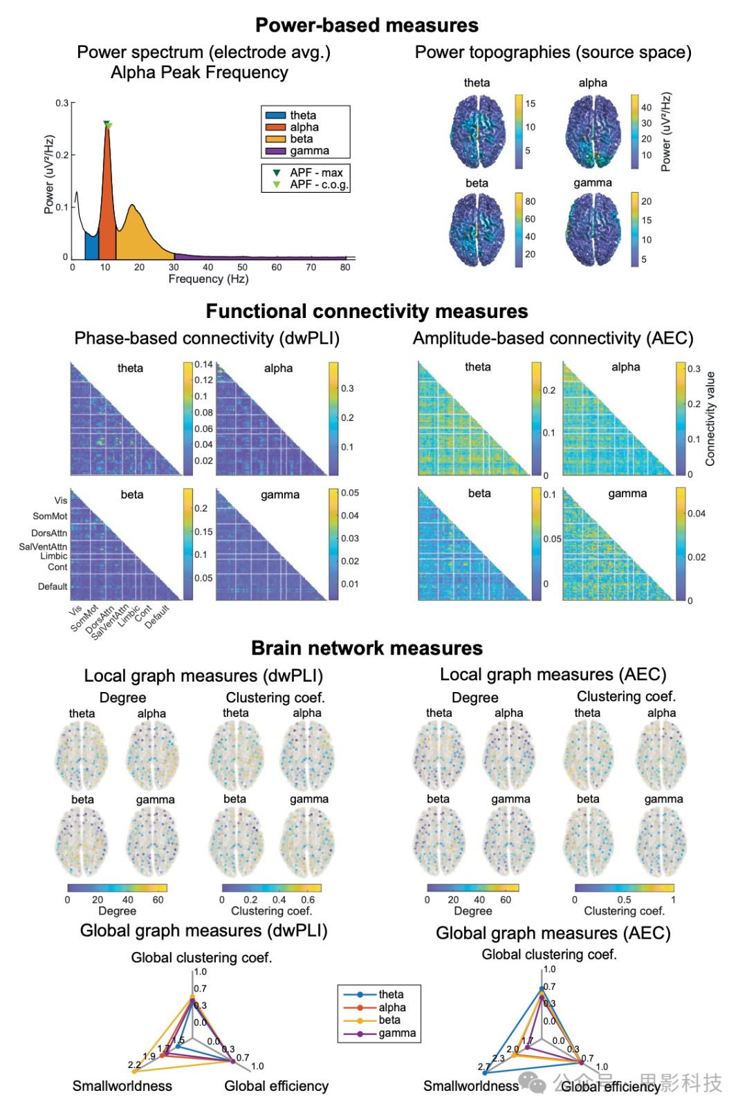 一个用于临床神经科学生物标志物发现的开放、全自动化EEG流程_iclabel other 是什么成分-CSDN博客