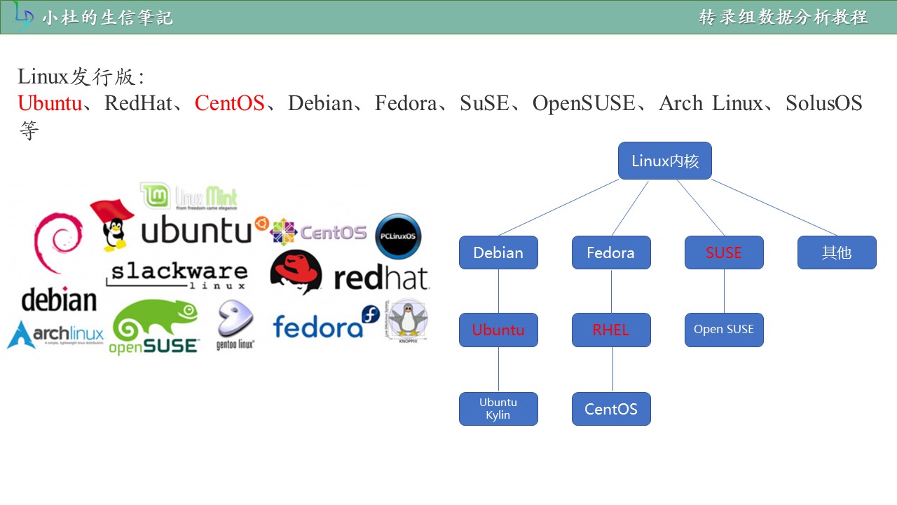 转录组上游分析教程 | 第一章 Linux基础_转录组上游分析 linux-CSDN博客
