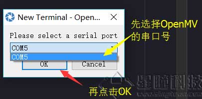 [星瞳科技]开发OpenMV需要了解哪些Python知识？_openmv pyb-CSDN博客