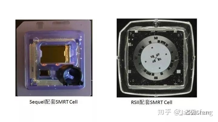 原理 rpm_Pacbio测序原理以及SMRT bell文库构建流程简述-CSDN博客