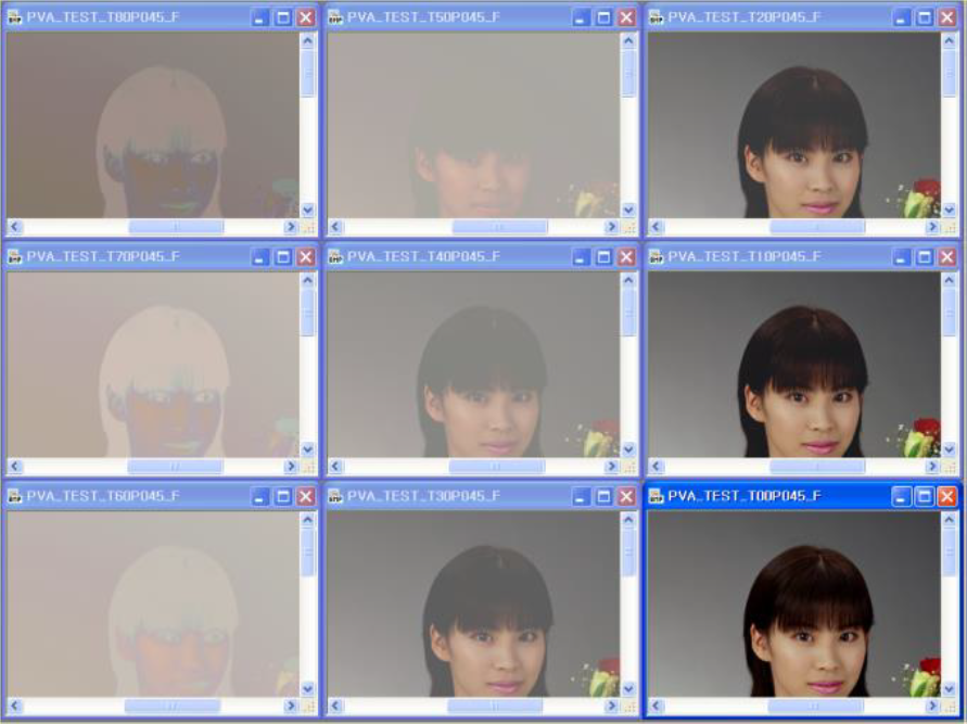 TechWiz LCD 3D：PVA模式仿真_techwiz3d教程-CSDN博客