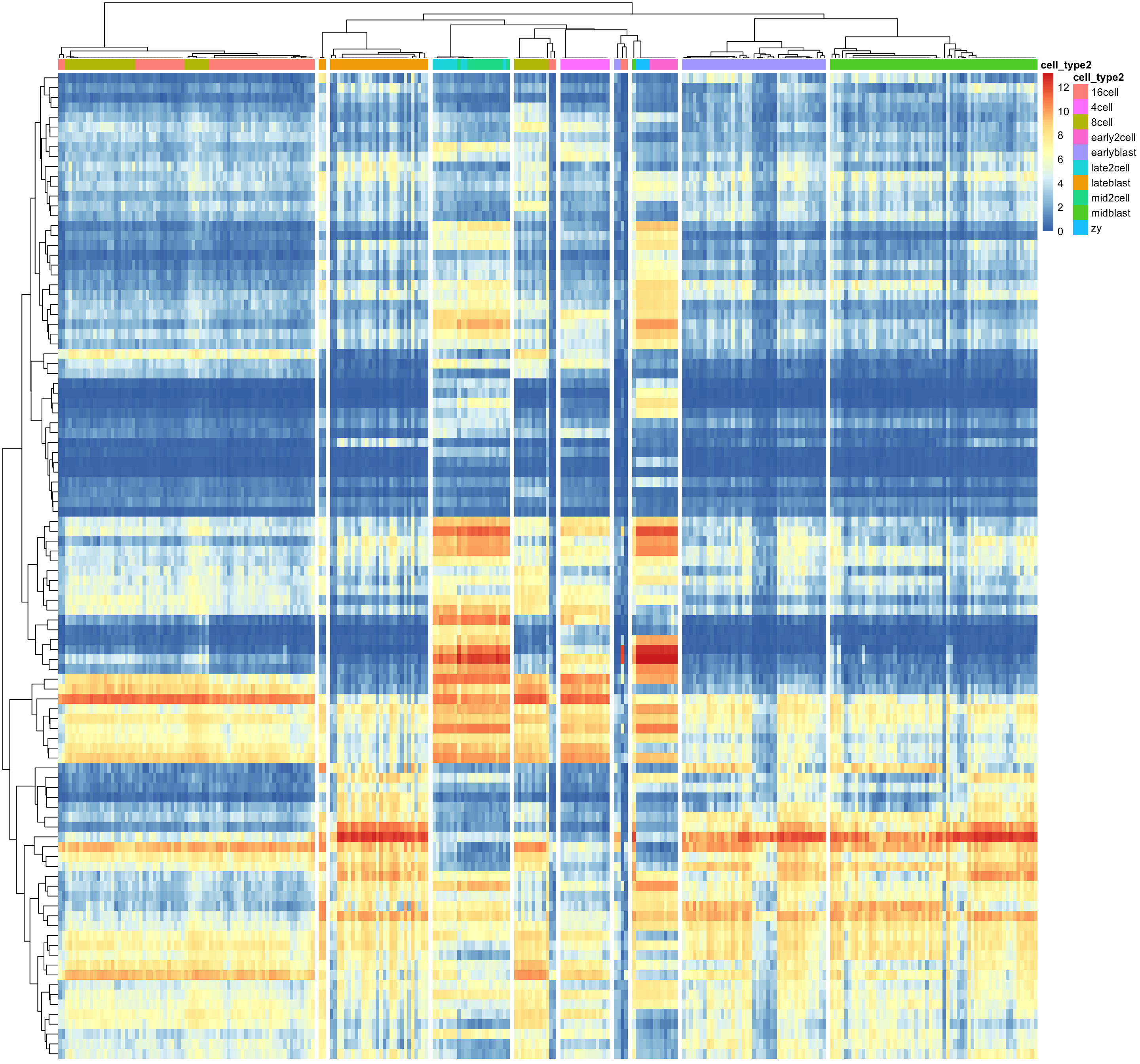 scRNA-seq | 吐血整理的单细胞入门教程（共识聚类）（十二）_共识聚类分析-CSDN博客