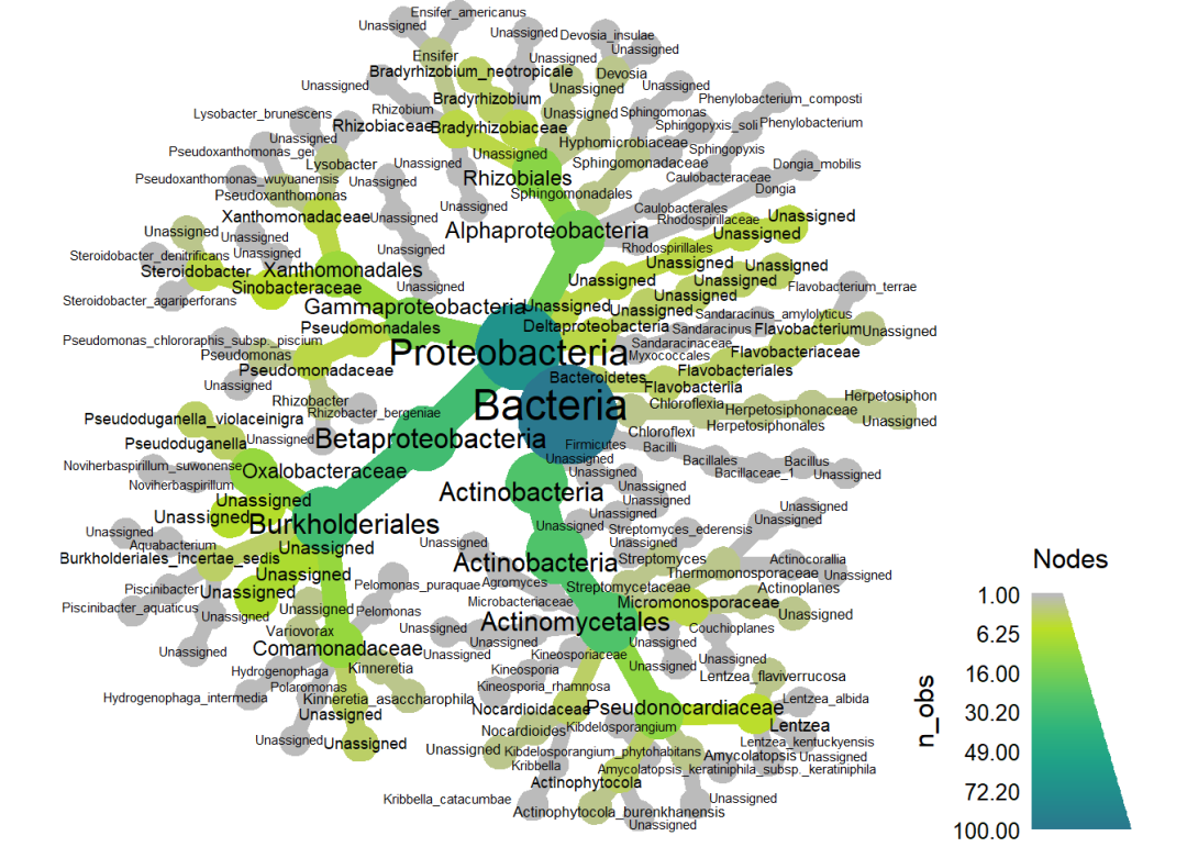 metacoder-相关进化树图的绘制于实践-CSDN博客