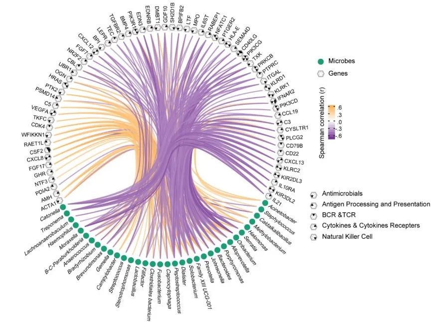 MicrobiomeStatPlot | 边绑定图教程Edge Bundling Plot-CSDN博客