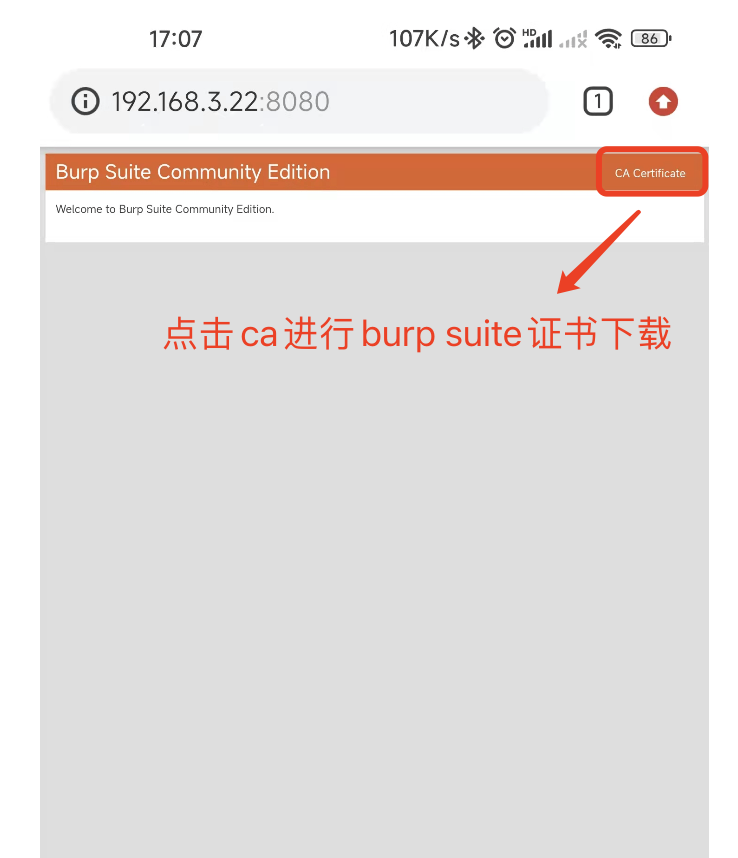 Burp Suite抓包工具配置代理手机抓取数据包_burpsuite 手机抓包-CSDN博客