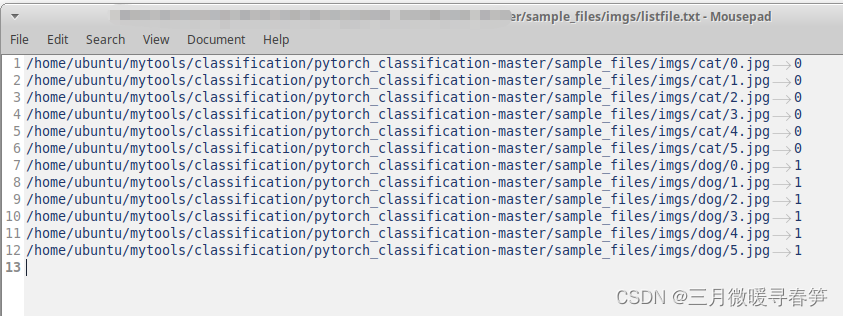 基于pytorch的深度学习图像分类_pytroch 图像分类算法-CSDN博客