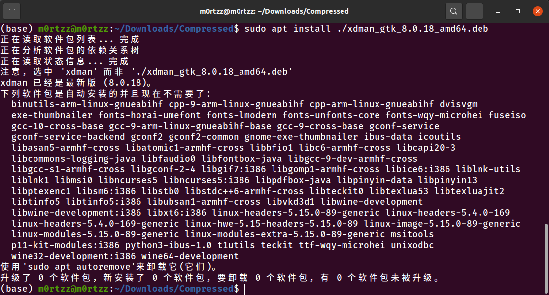 Linux版“IDM”—— XDM（Xtreme Download Manager，类Windows-IDM）安装并汉化_idm linux-CSDN博客