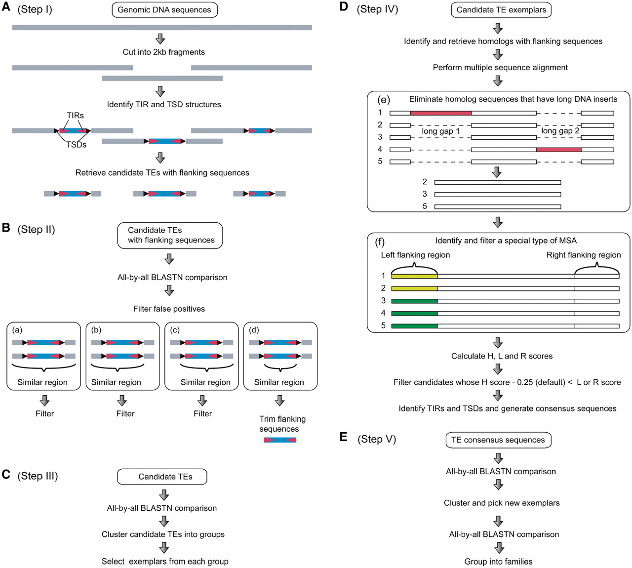 「基因组注释」MITE-Hunter鉴别基因组的MITE序列-CSDN博客