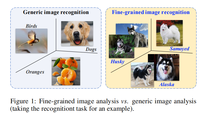 Deep learning for fine-grained image analysis: A survey_fine-grained ...