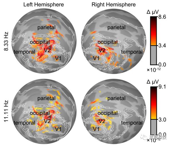 数据处理_思影数据处理服务六：脑磁图（MEG）数据处理_要点控的博客-CSDN博客