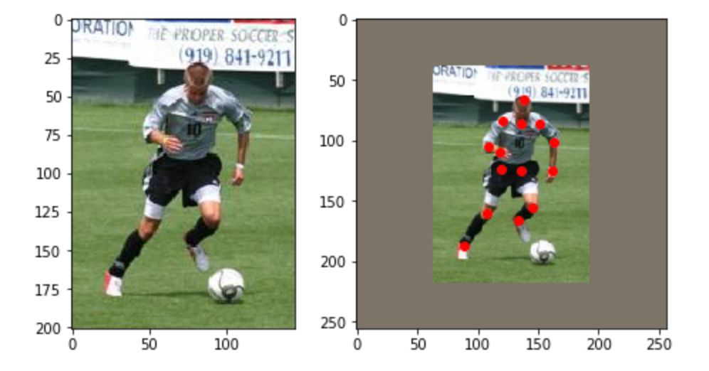 MPII数据集解析-CSDN博客