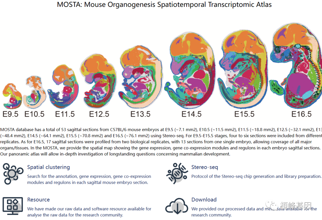 SCS【30】单细胞空间转录组学数据库(STOmics DB)-CSDN博客