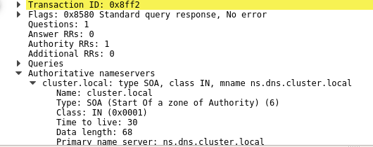 EduCoder 计算机网络实验 DNS协议分析_第1关:nslookup 域名解析-CSDN博客