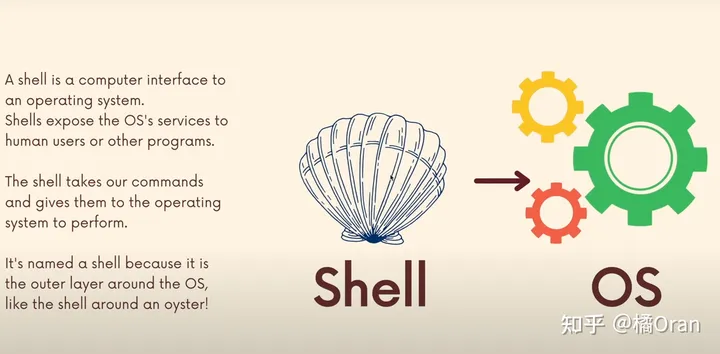 50 个最常用的 Linux & Terminal 命令_terminal命令大全-CSDN博客