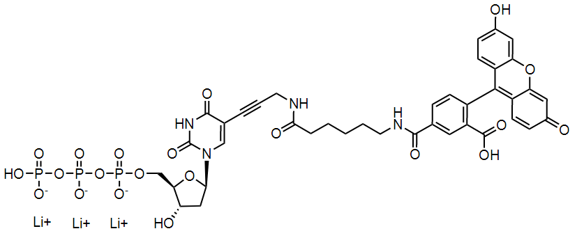 6-FAM-11-dUTP，FAM-11-dUTP, 6-isomer可用于在PCR和cDNA合成过程中产生标记产物-CSDN博客