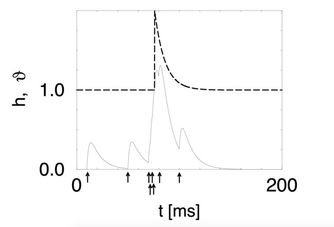 Matlab实现snn代码,SNN系列｜神经元模型篇(3)SRM_小农家的暮的博客-CSDN博客