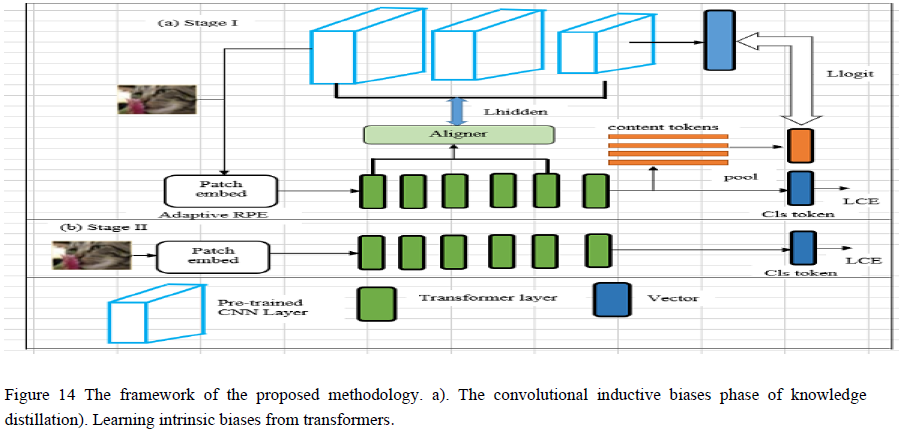 最新轻量ViT综述！后Transformer时代如何发展？_tinyvit缺点-CSDN博客