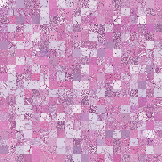 MedMNIST：18个数据集开启2D+3D医学影像之旅，可免费下载-CSDN博客