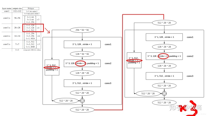 Resnet50结构resnet网络结构分析weixin39917437的博客 Csdn博客 