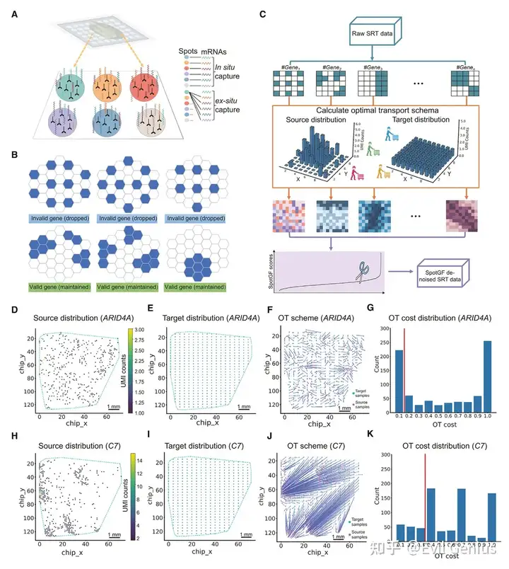 今日课题---空间转录组数据降噪分析（Stereo-seq和10x Visium）_python分析stereo-seq-CSDN博客