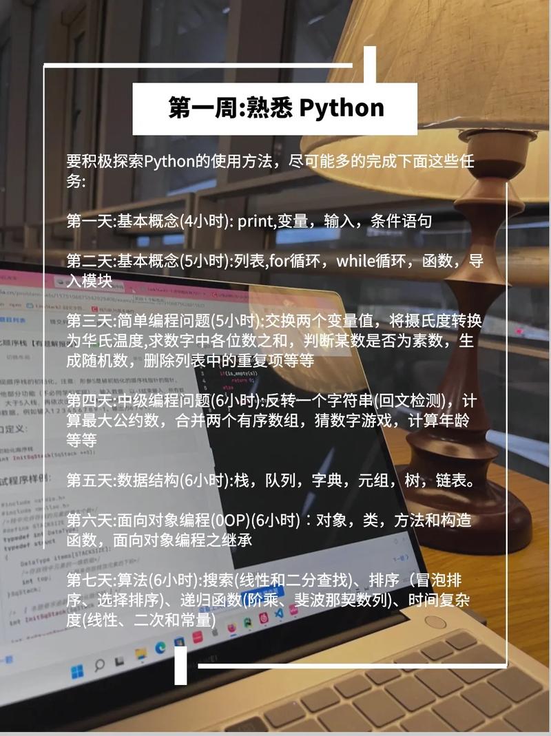 自学python能干些什么副业自学python可以赚钱吗 Csdn博客 